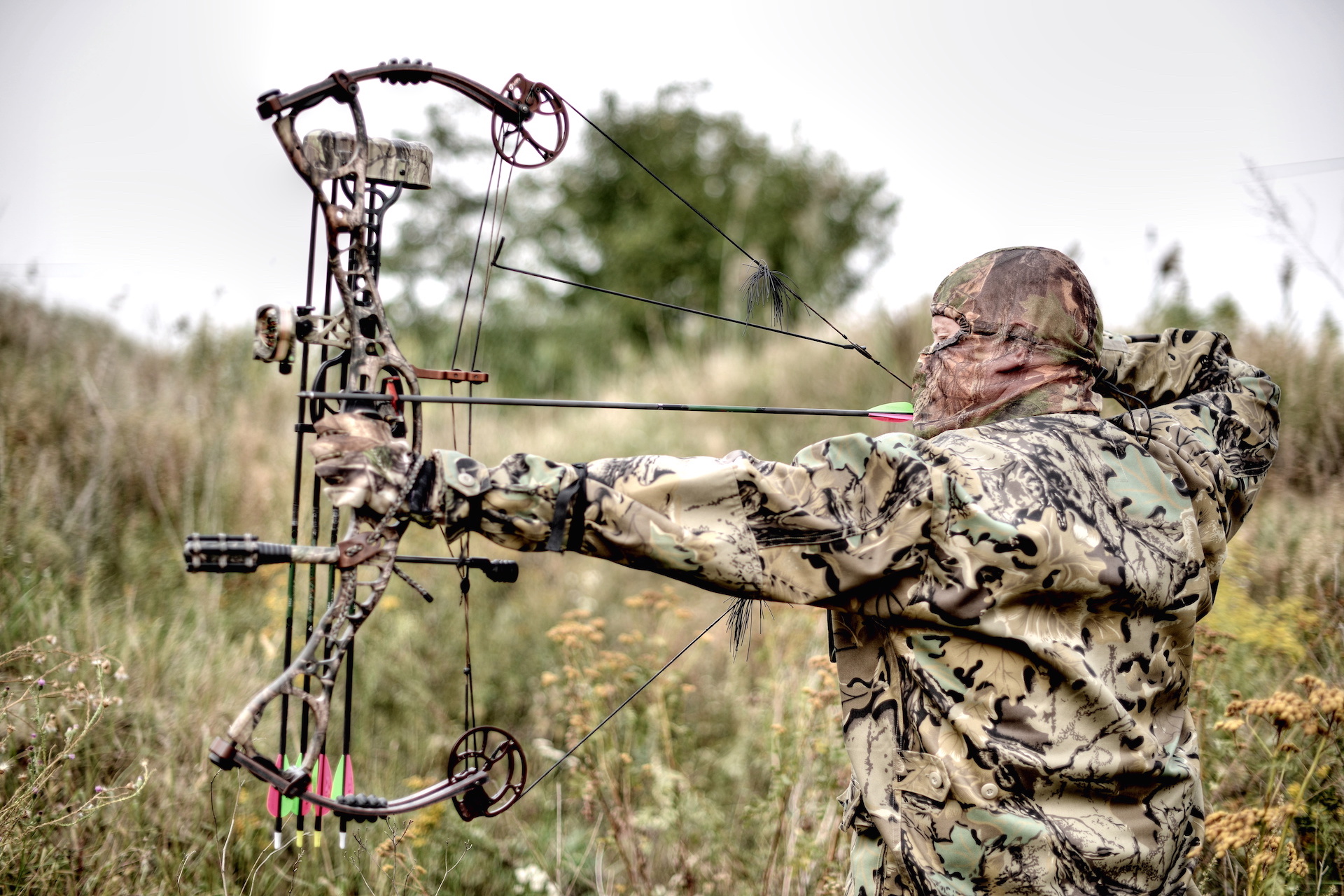 Contact – Bow Hunter Haven